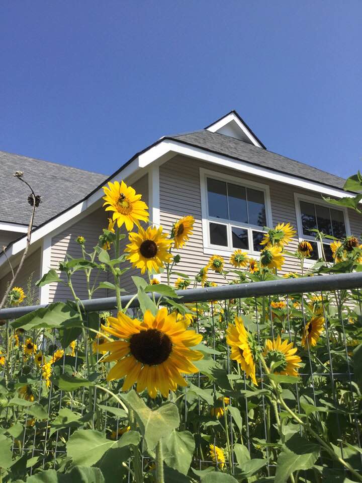 Family Fun Festival - Upper Valley Events Calendar | Discover NH & VT ...