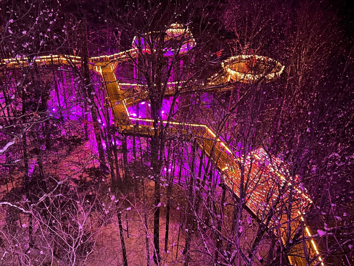 A Forest of Lights - Upper Valley Events Calendar | Discover NH & VT ...
